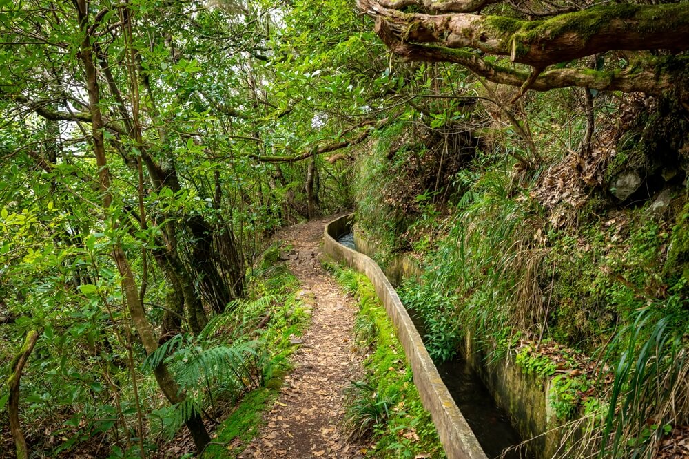Madeira čo vidieť + mapa turistických trás | Pelikan